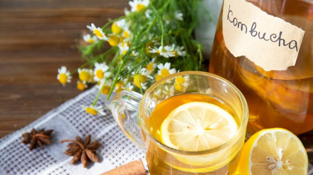 Comment faire du Kombucha maison - 👨🏽‍🍳Recettes pour tous